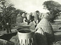 Africa, the landscape and the people 1931. The dark continent.