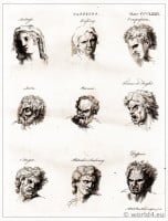 Facial expressions. The human mind expression