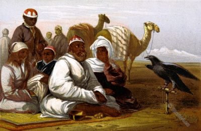 A Sultana, or Odalisk. Odalisque of the Sultan's Harem.