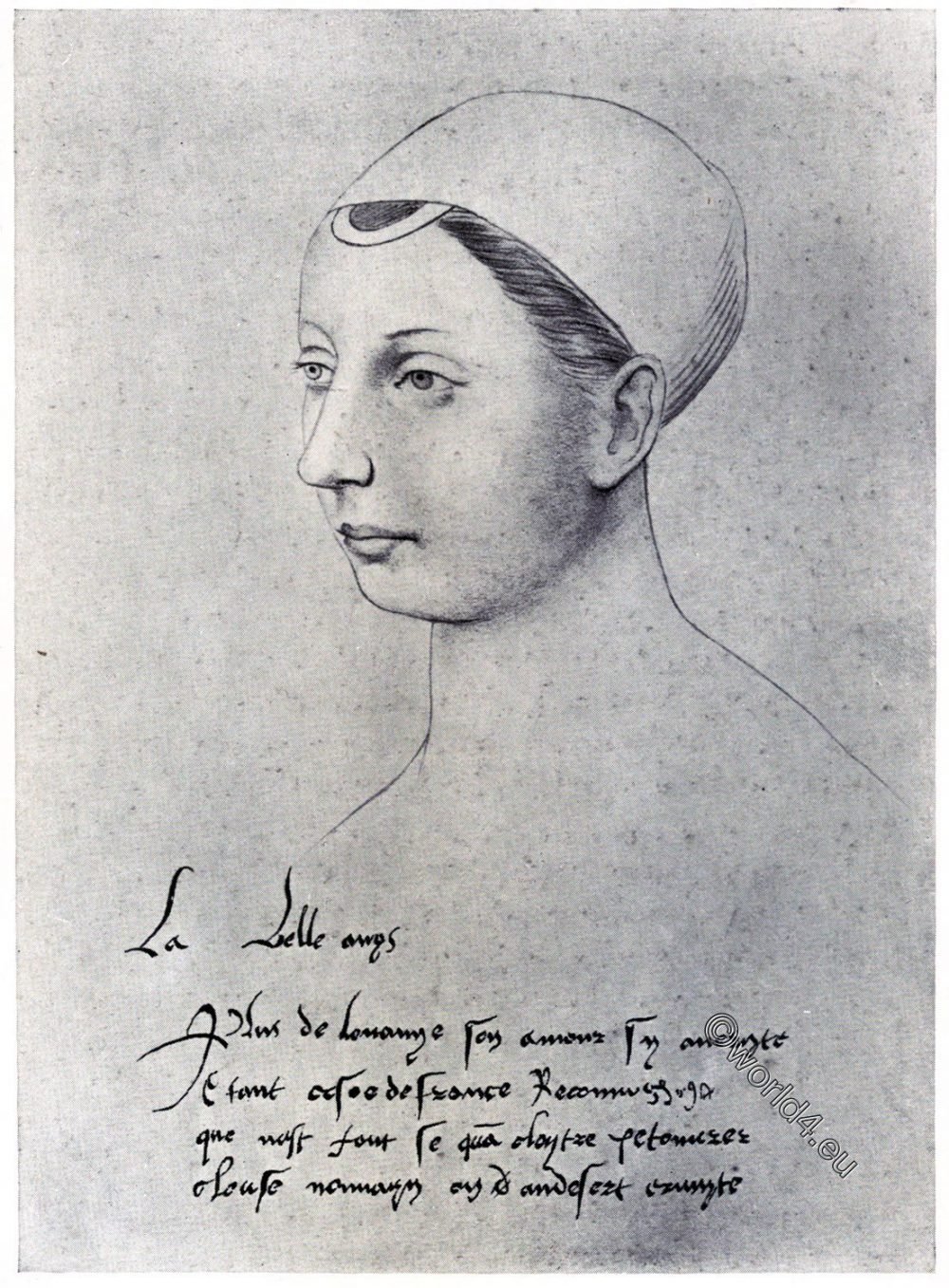 Agnès Sorel. La Dame de beauté. France 15th c.